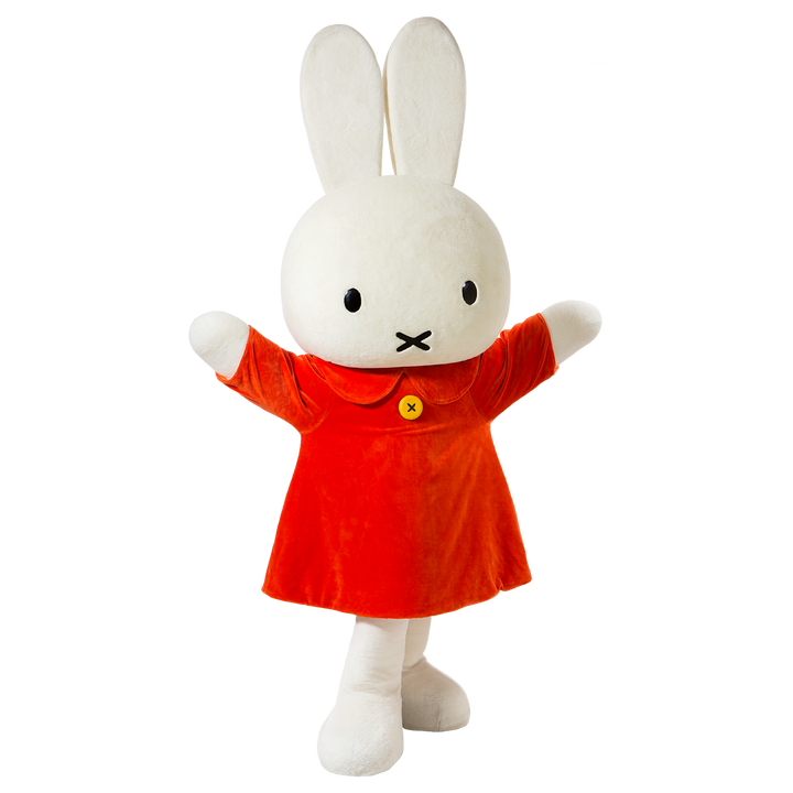 nijntje pleintjes – KNGU